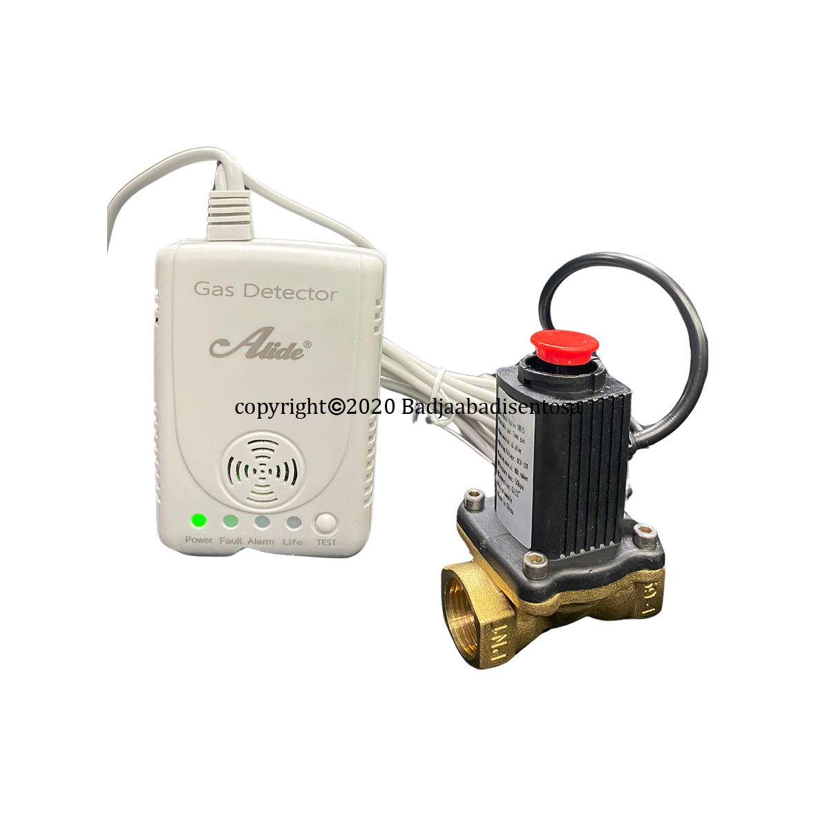 Alide - Gas Detector with Solenoid Valve | Badja Abadi Sentosa